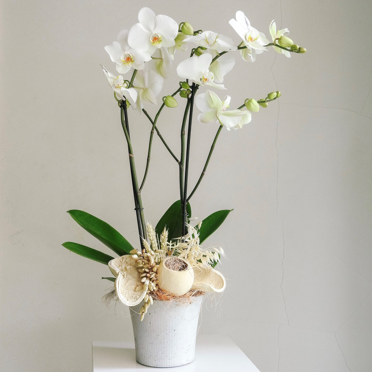 HEPSİ – Misk Floral Cafe